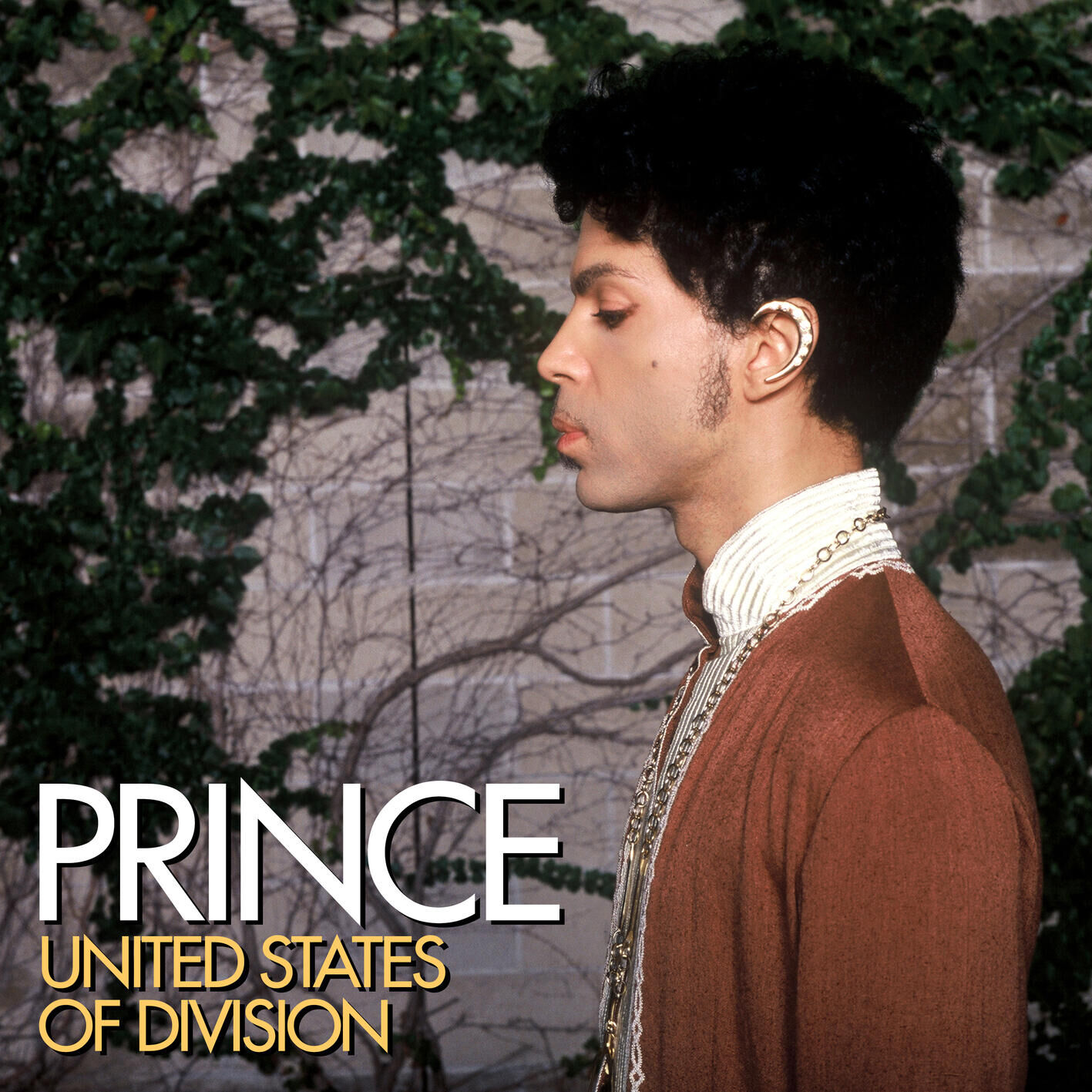Audio : Prince "United States of Division" - Funk-U
